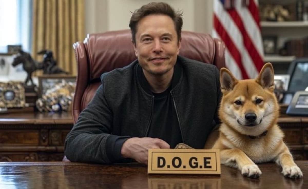 Why those reports of DOGE using AI have experts worried about ‘massive ...